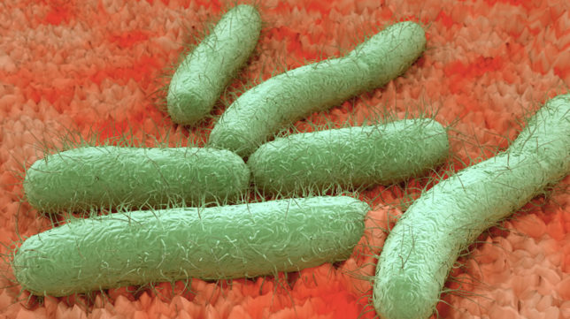 Superbug Infection Risk Limited to Highly Specialized Equipment Used in ...